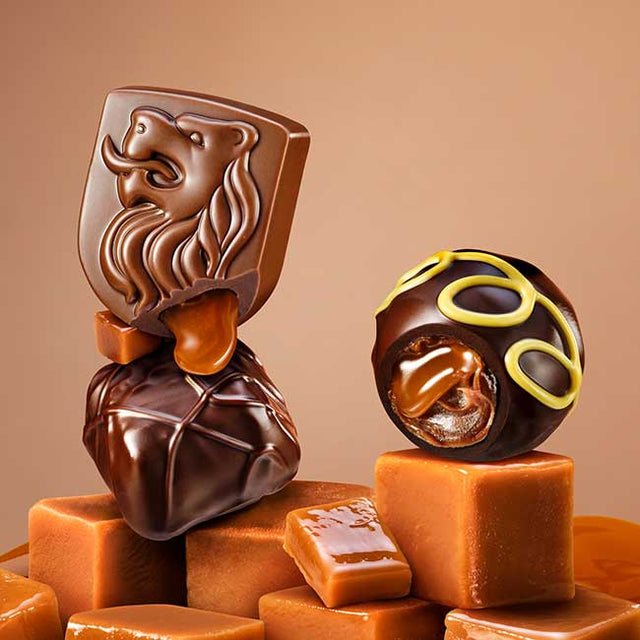 Milk Chocolate Ganache Masterpiece Bag – GODIVA Chocolatier, Inc.